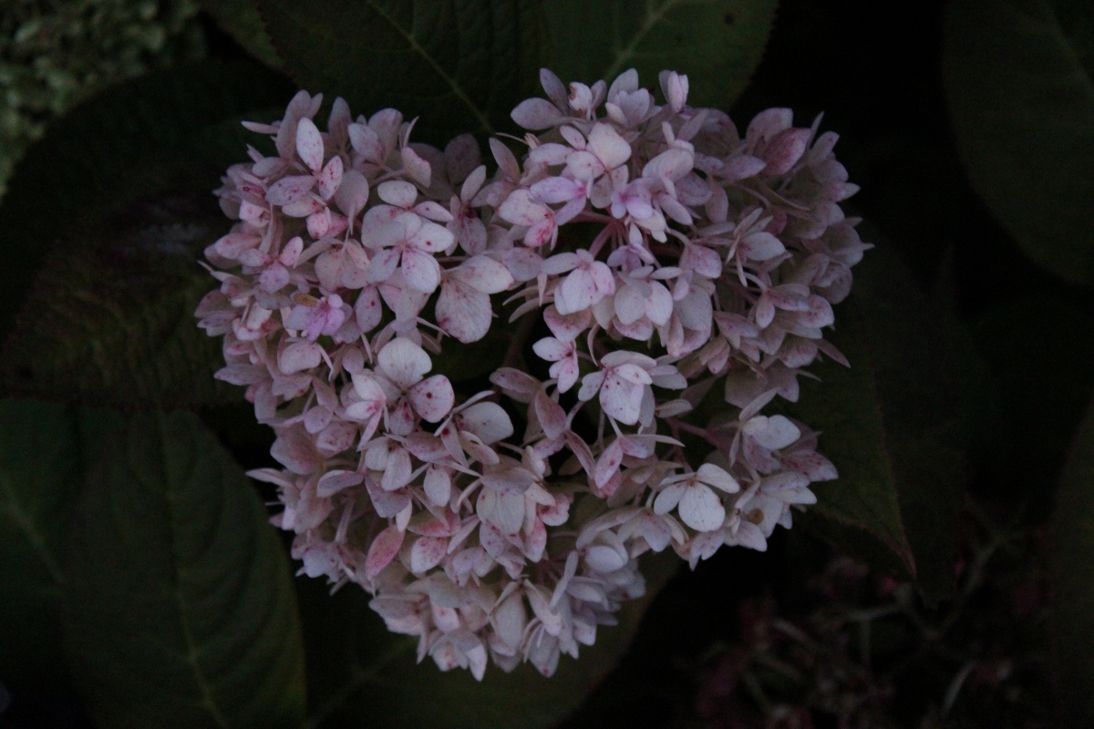 Queen’s community finds connection during Thrive Week 2025 | Queen's ...